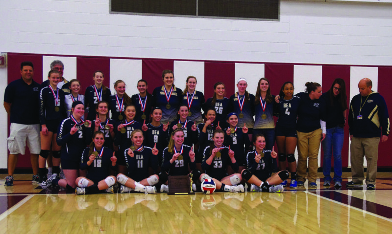 CHAMPIONS: Bald Eagle Area High School Volleyball wins District 6 ...